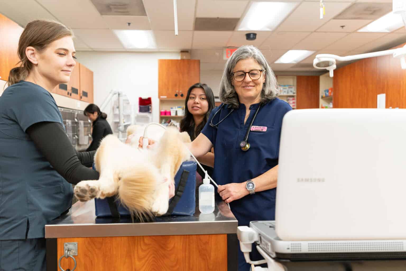 Veterinarian Services in San Diego Sports Arena, CA | PetSmart ...