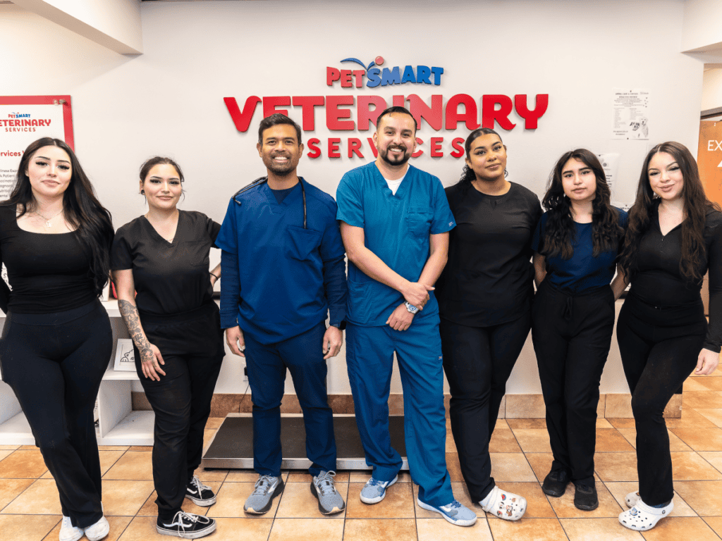 Veterinarian Services in Victorville, CA | PetSmart Veterinary Services