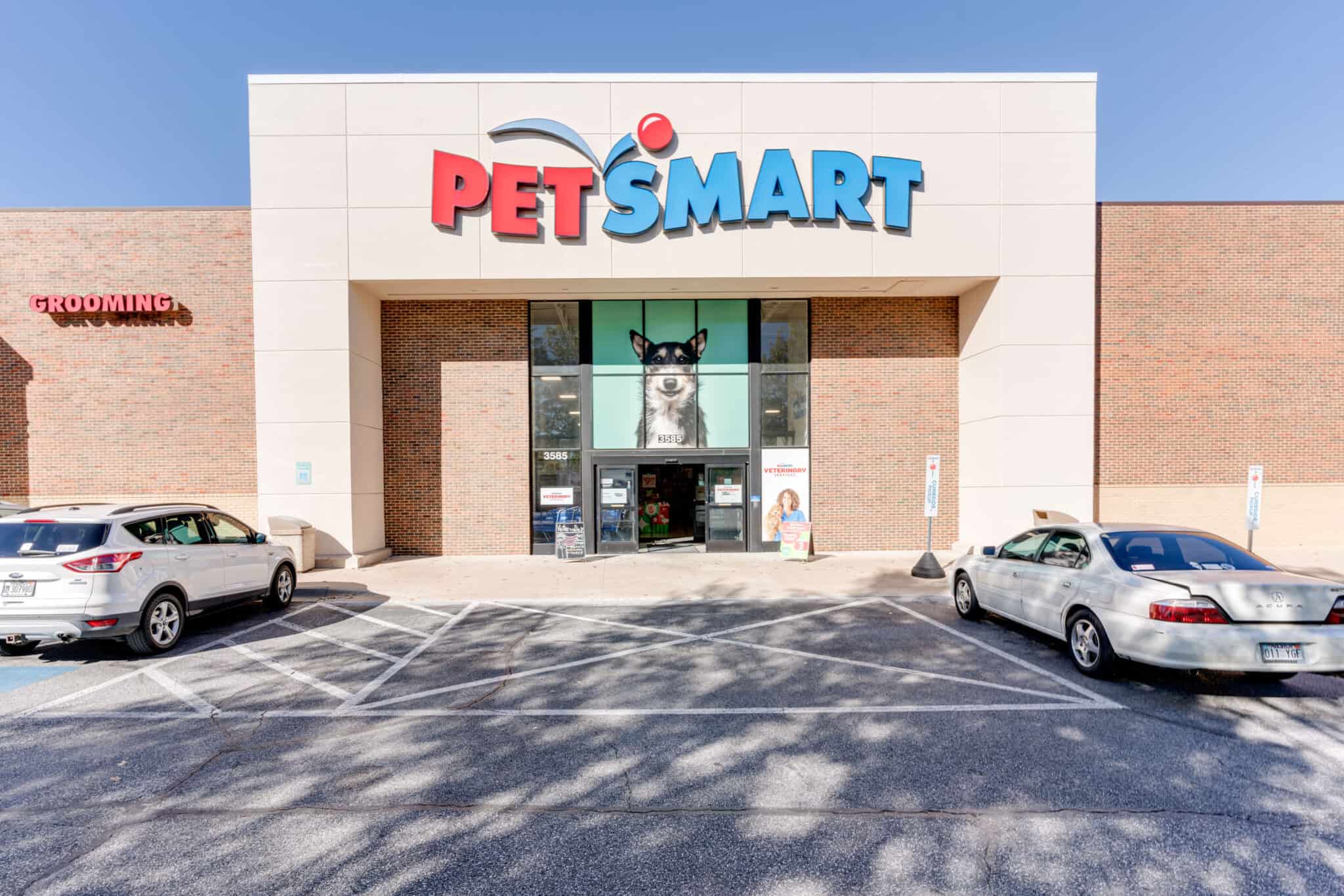 Veterinarian Services in Fayetteville, AR | PetSmart Veterinary Services
