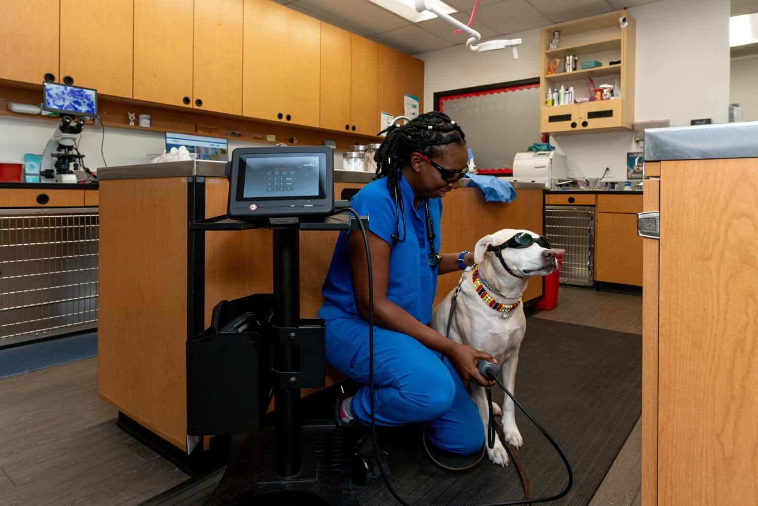 Veterinarian Services in Georgetown, TX | PetSmart Veterinary Services