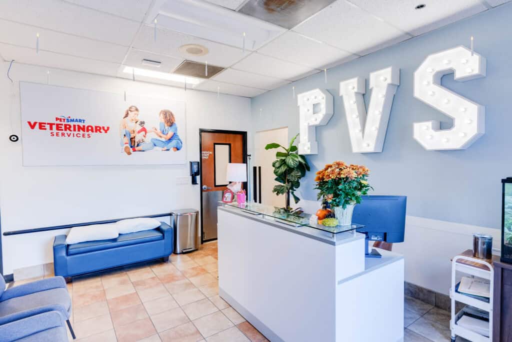 Veterinarian Services in San Juan Capistrano, CA | PetSmart Veterinary ...