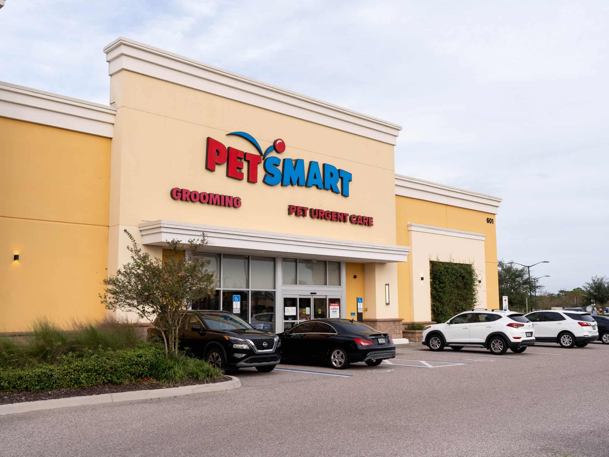 Veterinarian Services in Kissimmee, FL | PetSmart Veterinary Services