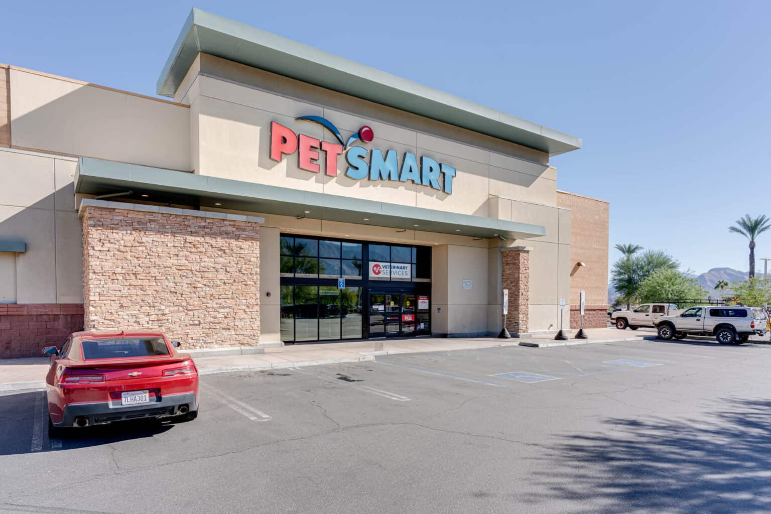 Veterinarian Services in Palm Springs, CA | PetSmart Veterinary Services