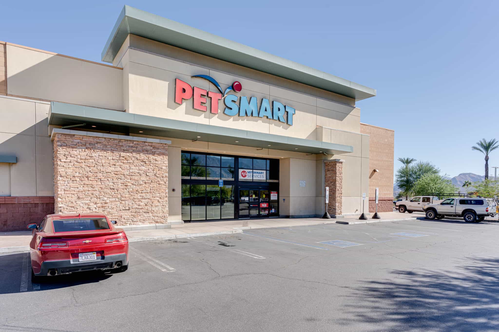 Veterinarian Services in Palm Springs, CA | PetSmart Veterinary Services