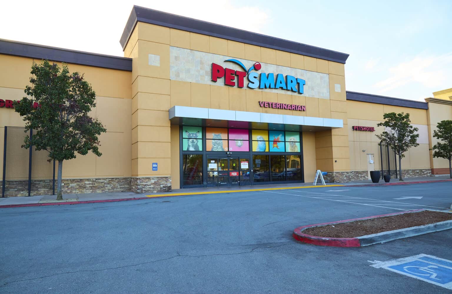 Veterinarian Services in San Carlos, CA | PetSmart Veterinary Services