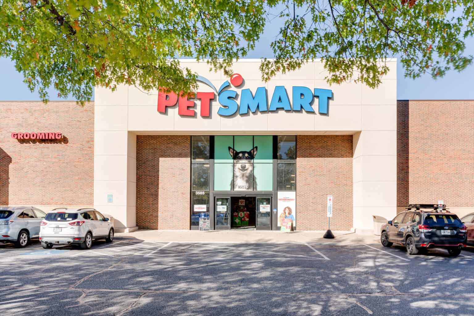 Veterinarian Services in Wausau, WI | PetSmart Veterinary Services