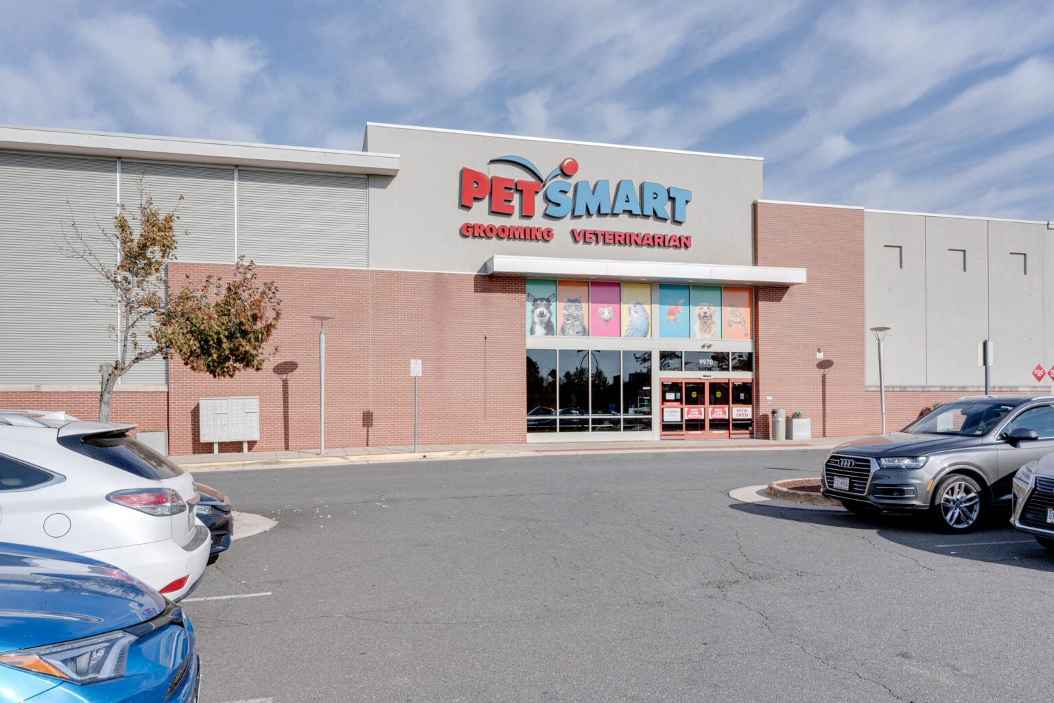 Veterinarian Services in Bristow South Manassas, VA | PetSmart ...