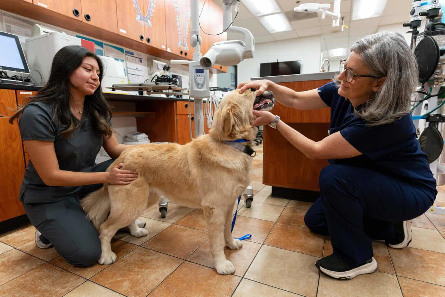 PetSmart Veterinary Services