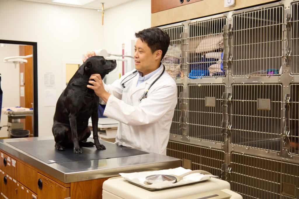 PetSmart Veterinary Services