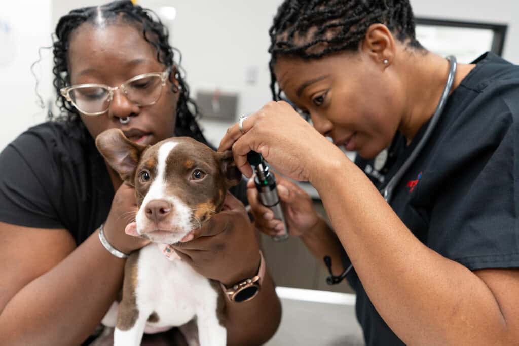 PetSmart Veterinary Services