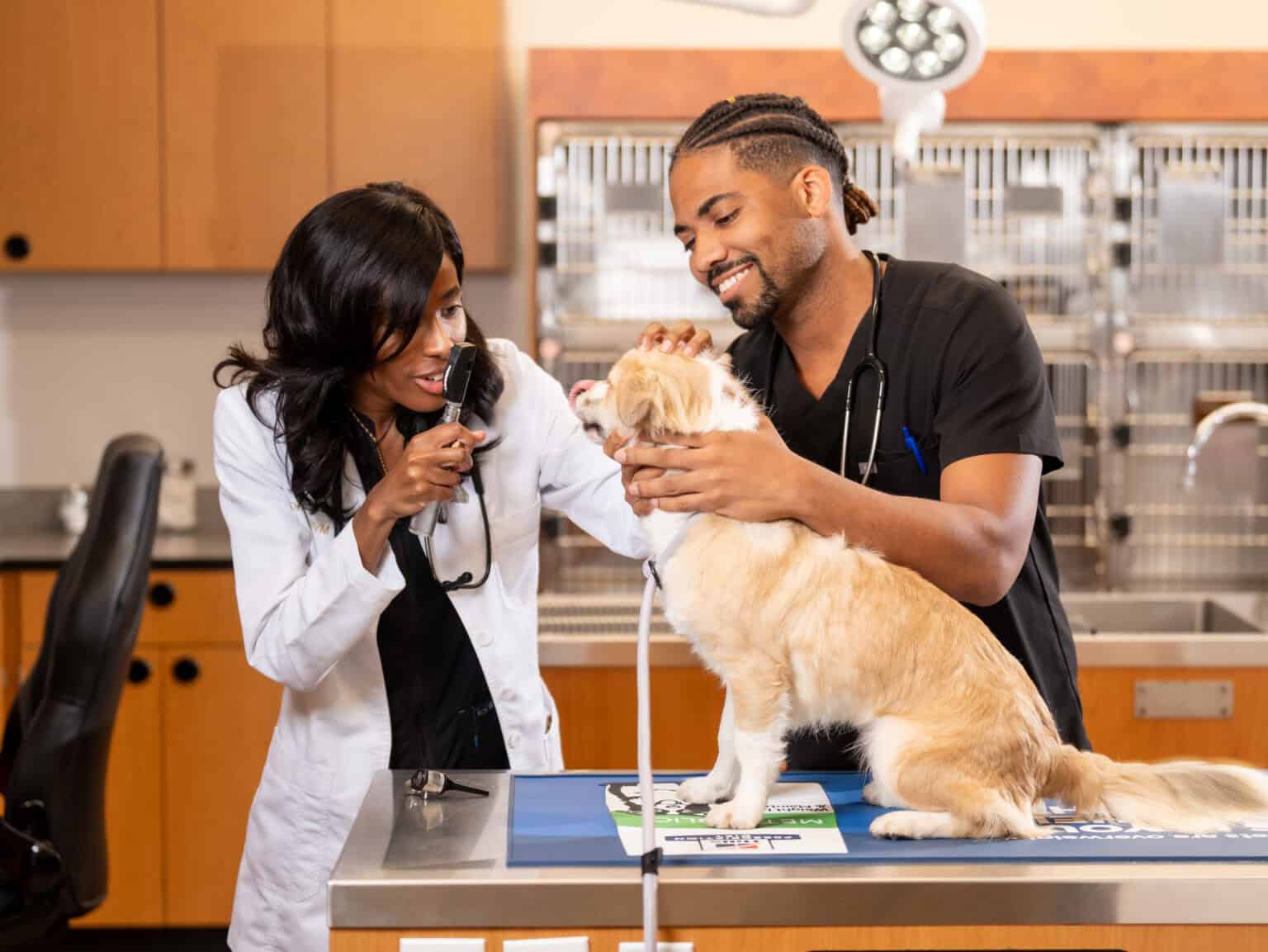 PetSmart Veterinary Services Delray Beach | PetSmart Veterinary Services